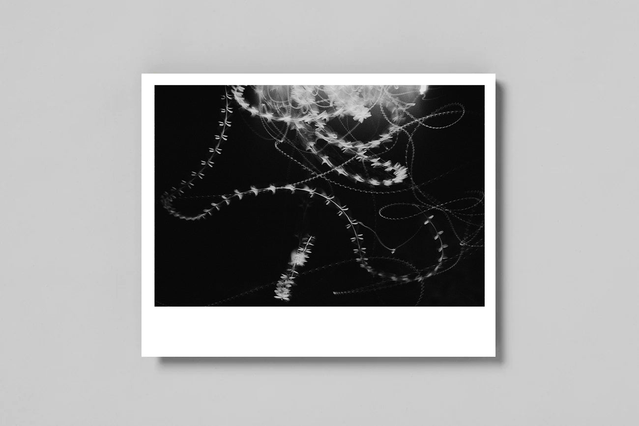 Monument Artist Ed. 2 — STANLEY/BARKER