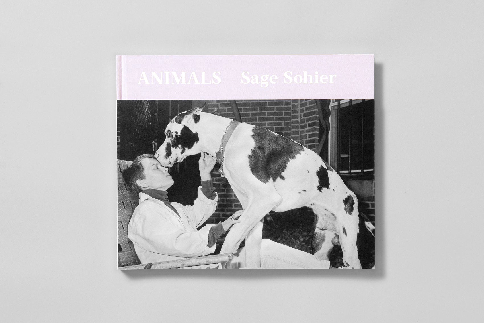 Animals – STANLEY/BARKER